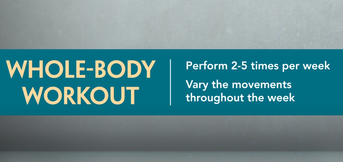 Whole body workout – Human Kinetics