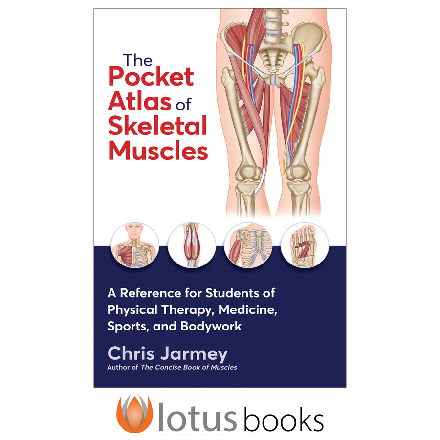 Pocket Atlas of Skeletal Muscles, The – Human Kinetics