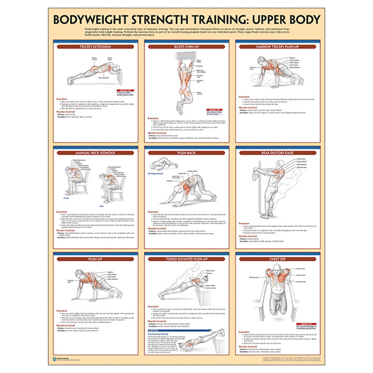 Bodyweight Strength Training Poster: Upper Body – Human Kinetics