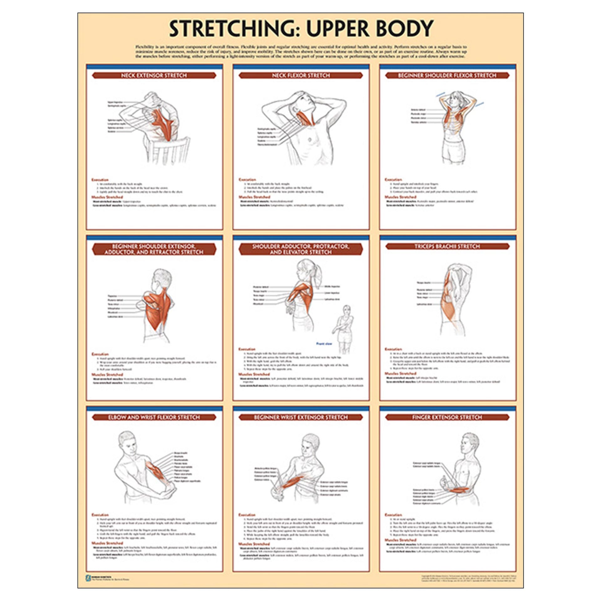 Printable Stretching Poster